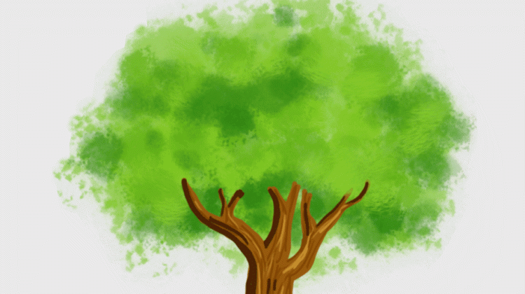 Our School – Dean Park Primary School